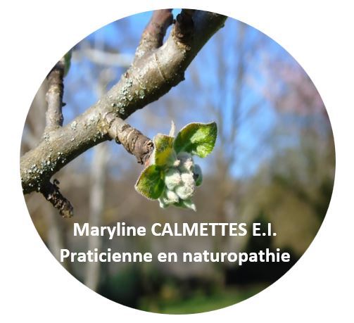 Maryline Calmettes - Les Établies